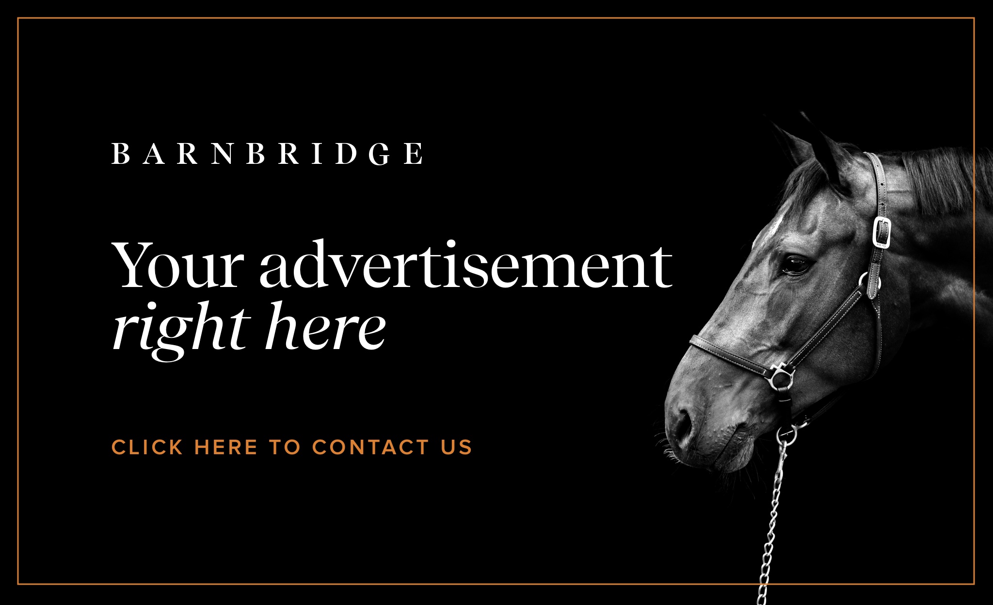 Barnbridge Auctions - Horse auctions on one platform