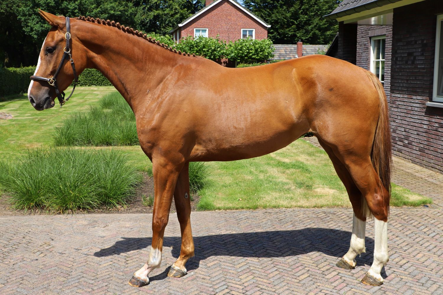 Toulouse Art Delo - Barnbridge Auctions