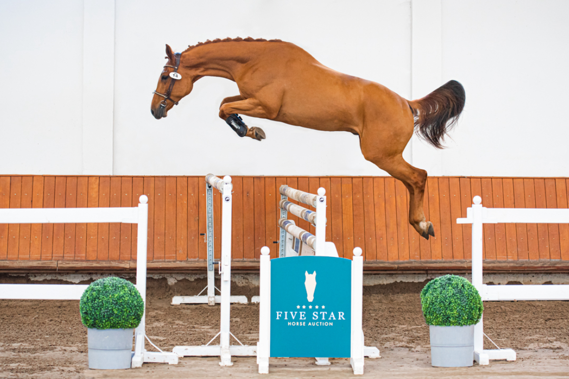 Cabry Fly - Barnbridge Auctions