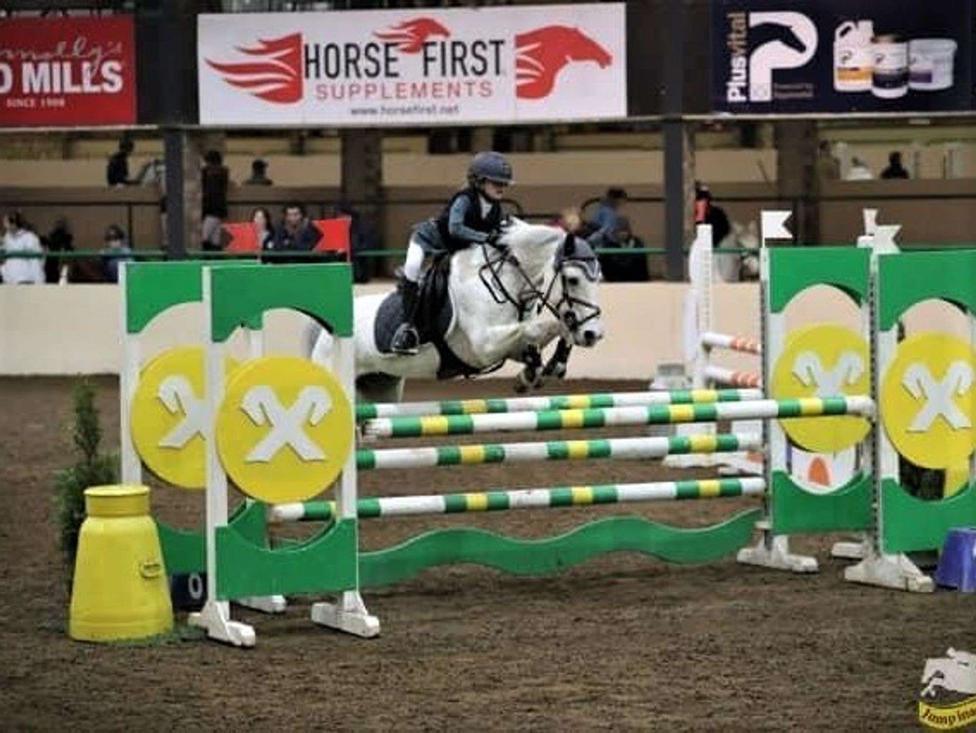 Millfield Papoose - Barnbridge Auctions