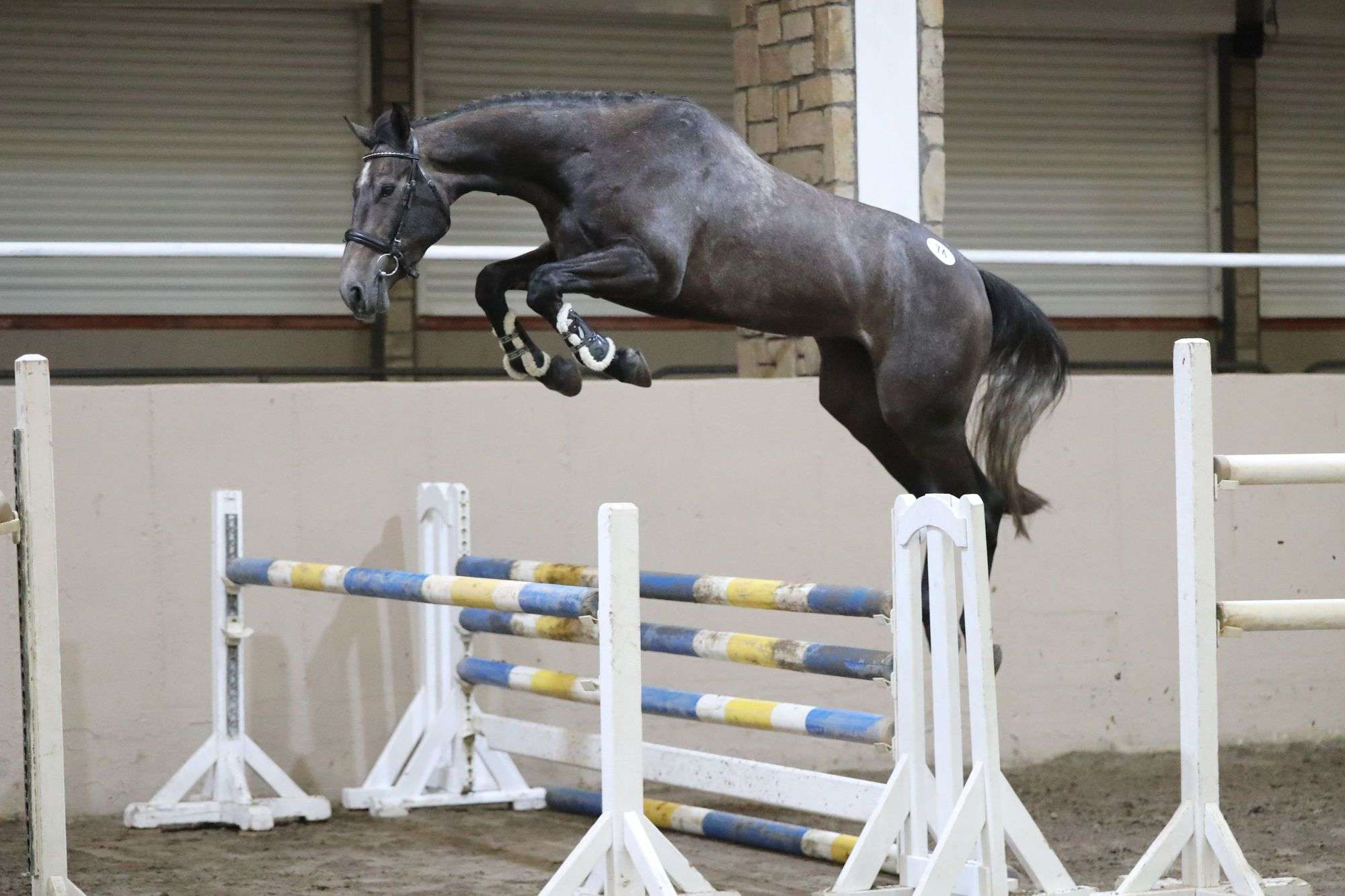 Kilderry Mo Chroi - Barnbridge Auctions