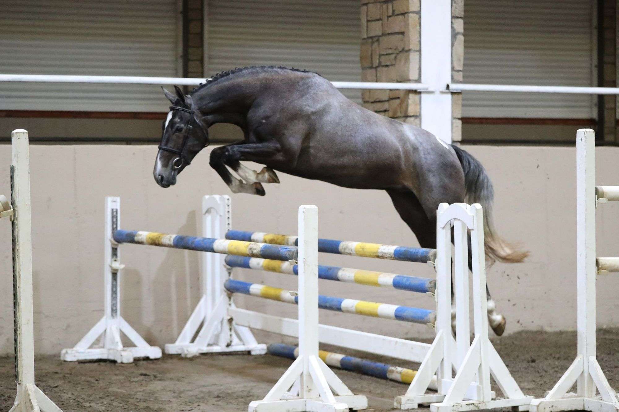 Ignite RF - Barnbridge Auctions