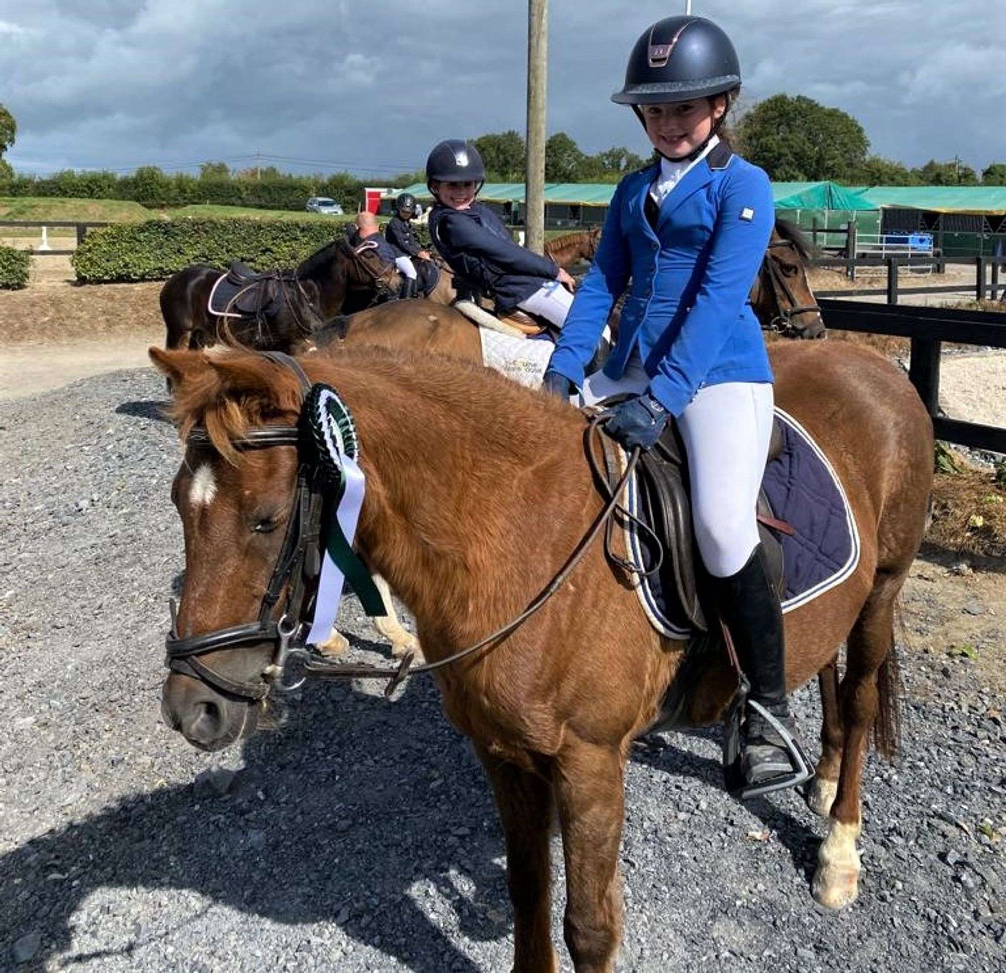 Kilcrene Venus - Barnbridge Auctions