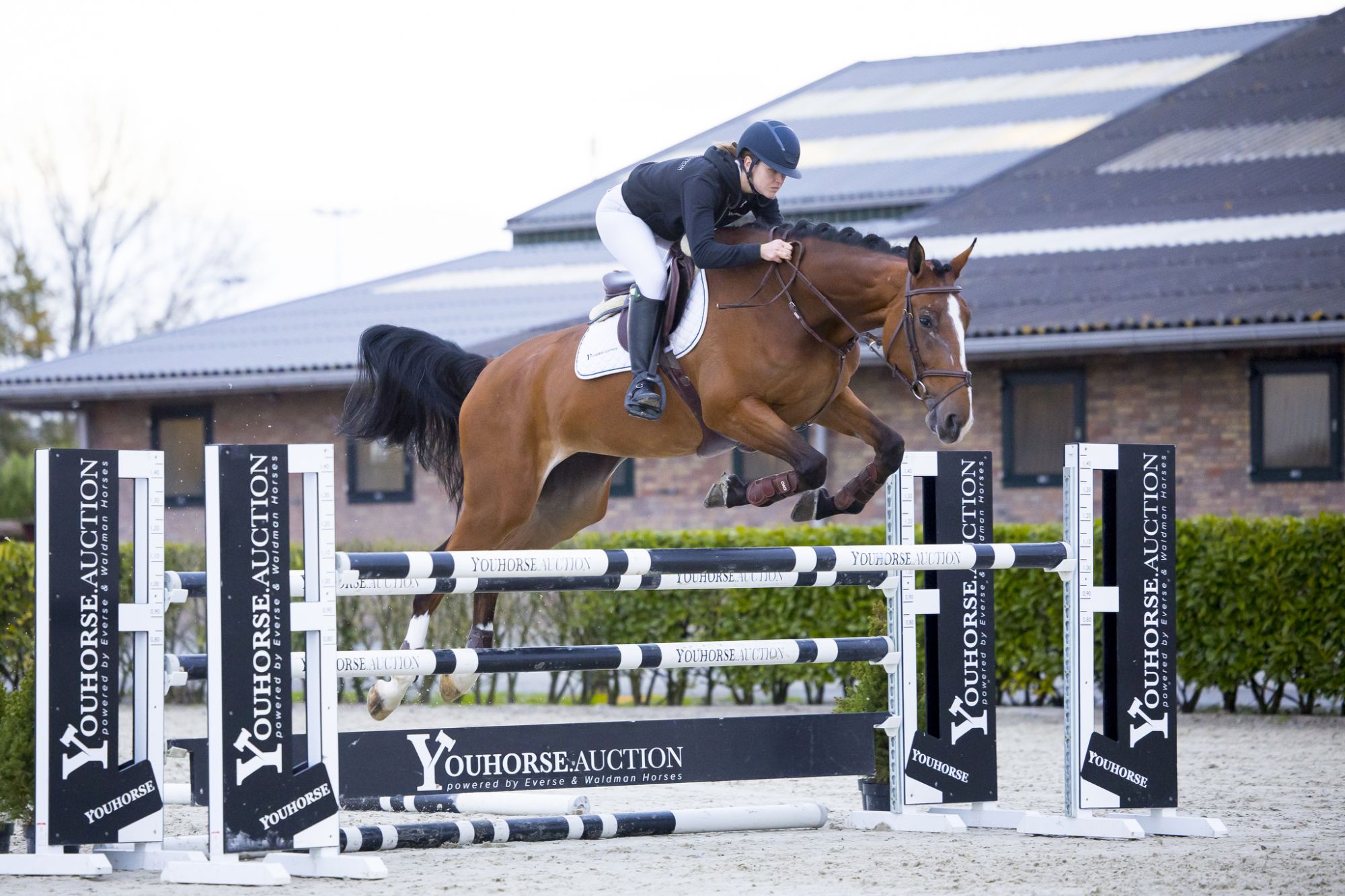 Merchandise - Barnbridge Auctions