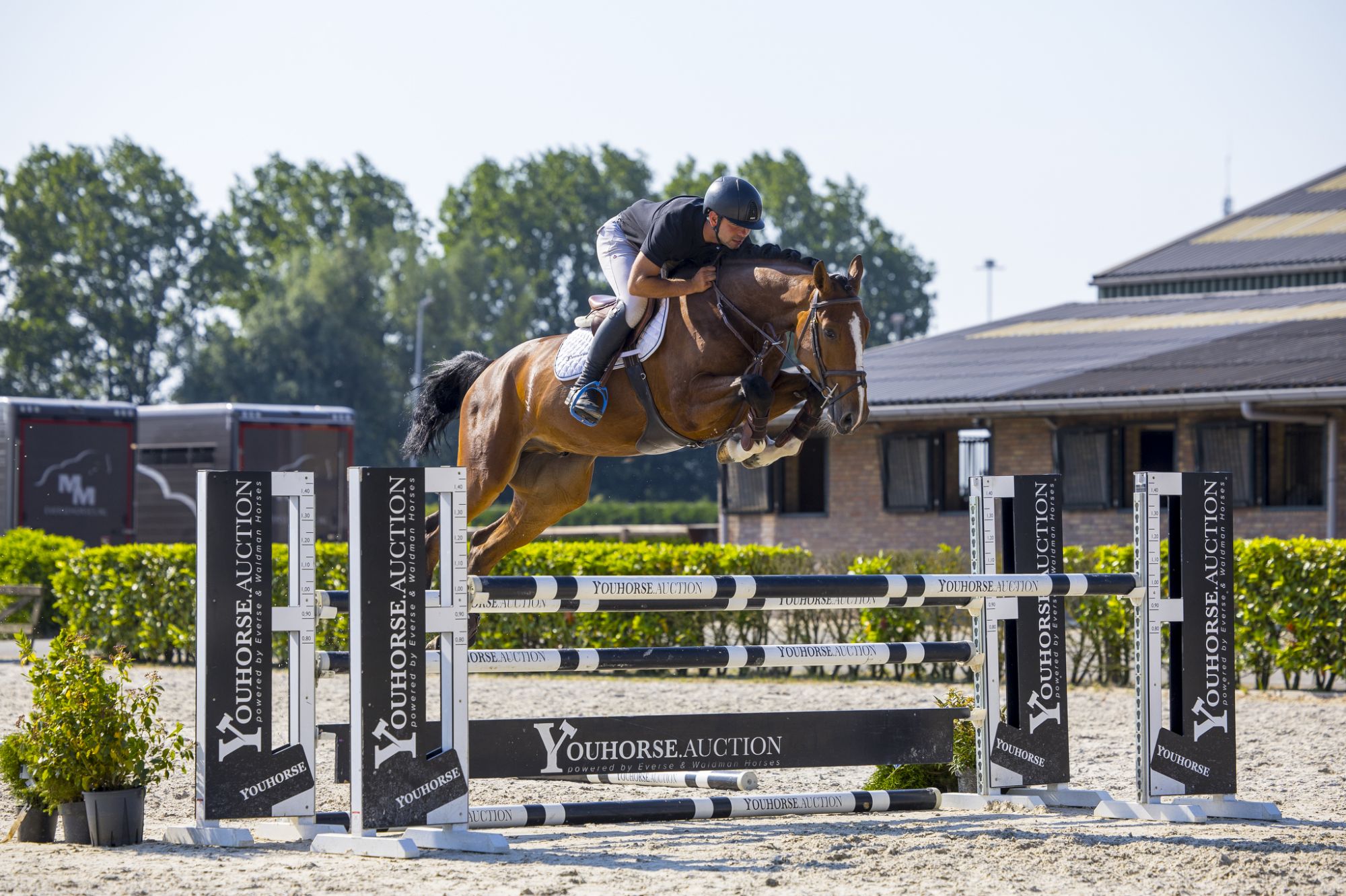 Hogwart von der Soehr - Barnbridge Auctions