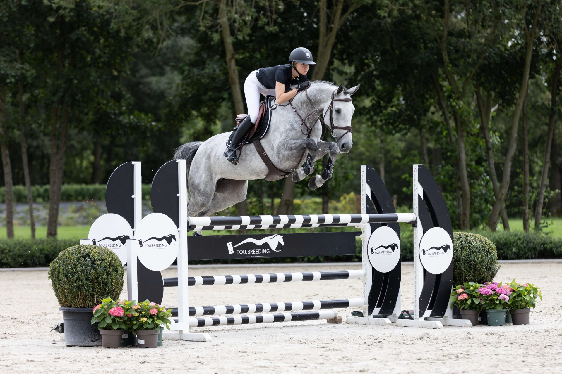 Ciana Blue PS - Barnbridge Auctions