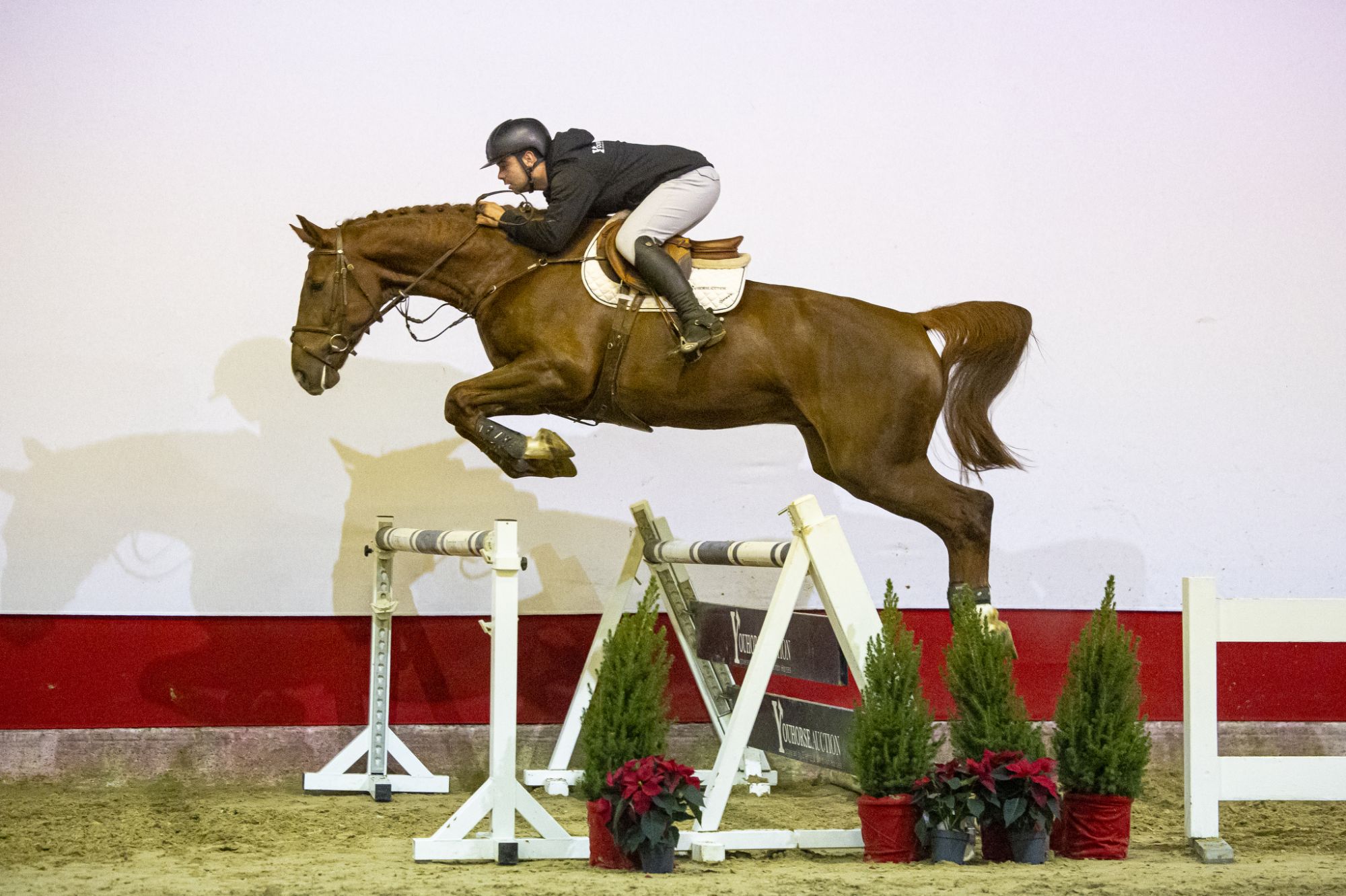 One Vision - Barnbridge Auctions