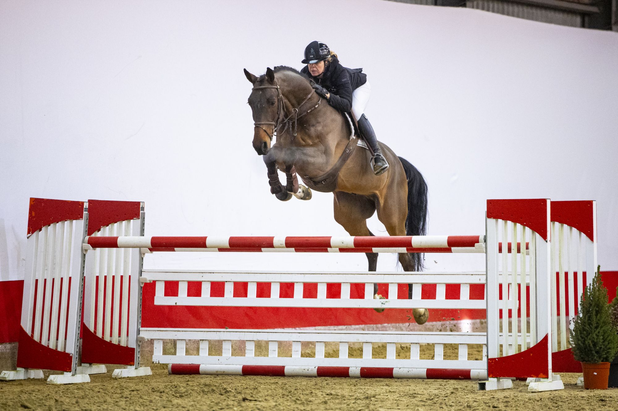 Theodore De Landry - Barnbridge Auctions