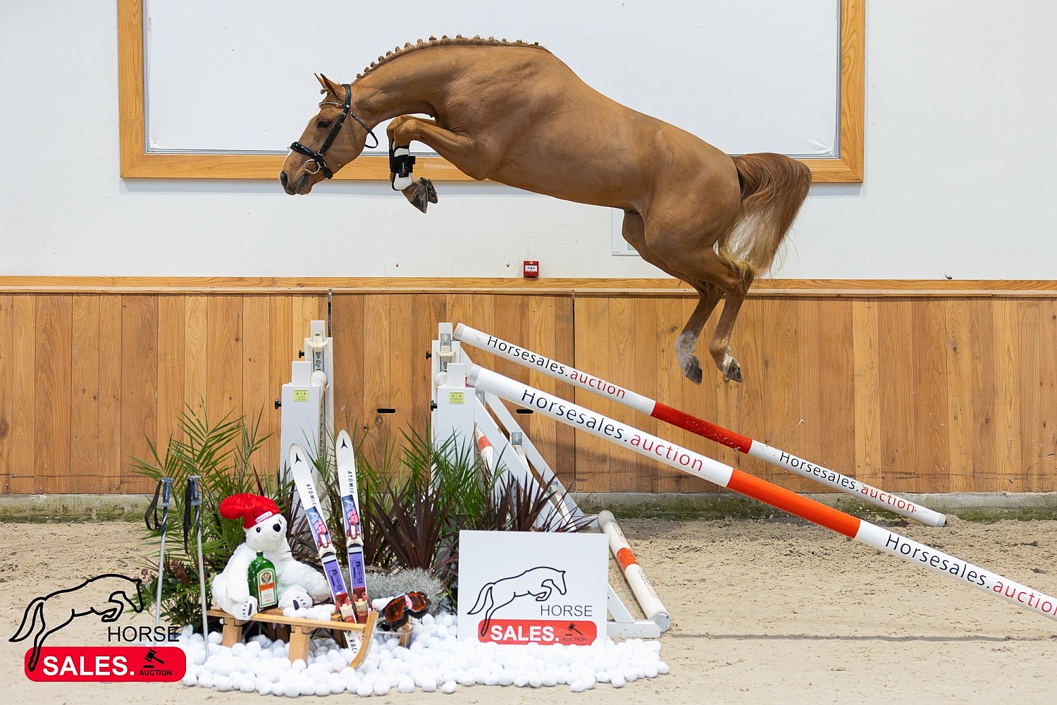 Rasputin ABBA - Barnbridge Auctions