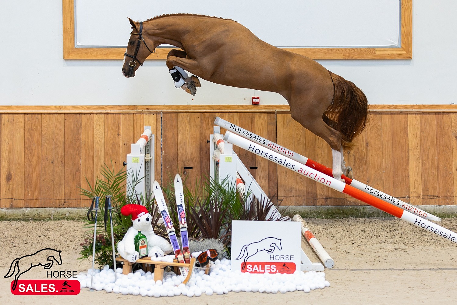 Rock'n Roll VT - Barnbridge Auctions