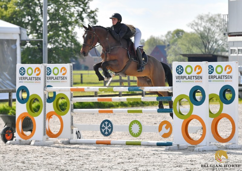 Raphael van Horst - Barnbridge Auctions