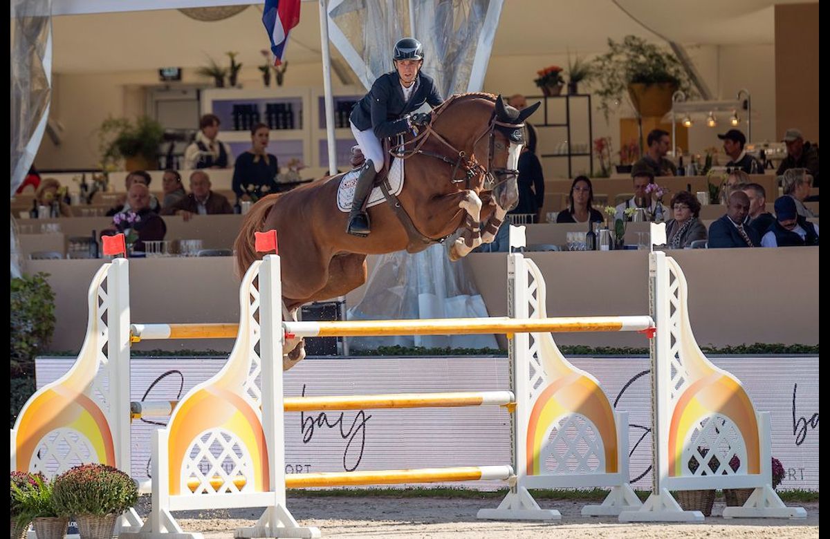 Implanted Embryo 4 - Barnbridge Auctions