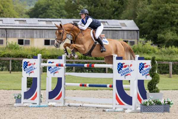Billy Stardust - Barnbridge Auctions